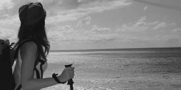 JAFI - LETTER 7 Brands